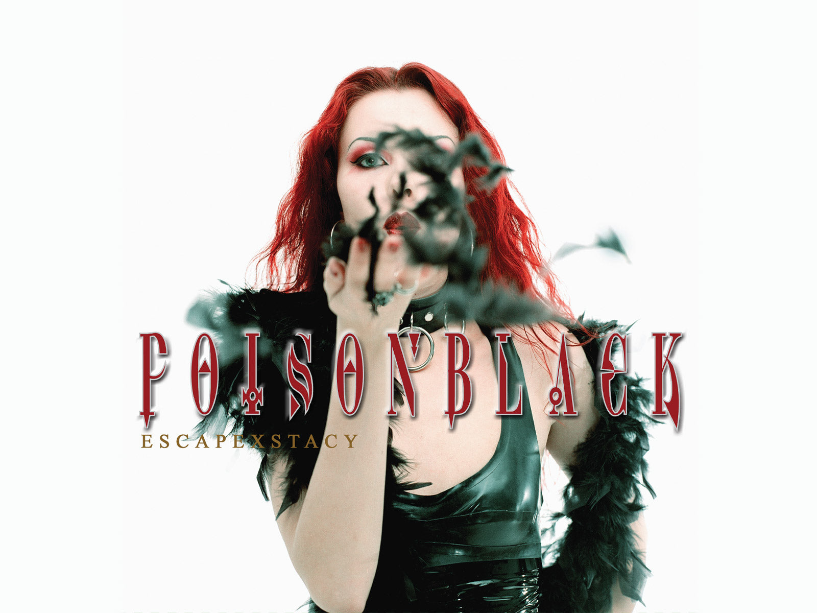 Poisonblack Shop – Backstage Rock Shop